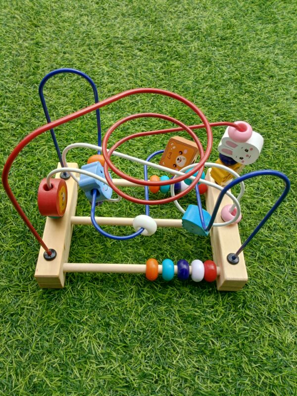 Bead maze (medium) - The Lifematics Centre